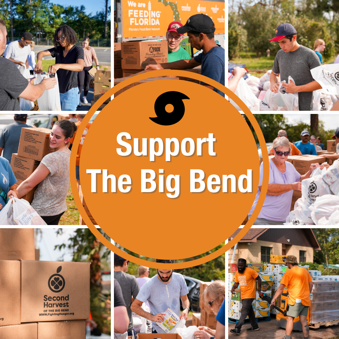 Donate to Hurricane Helene 24 the Big Bend