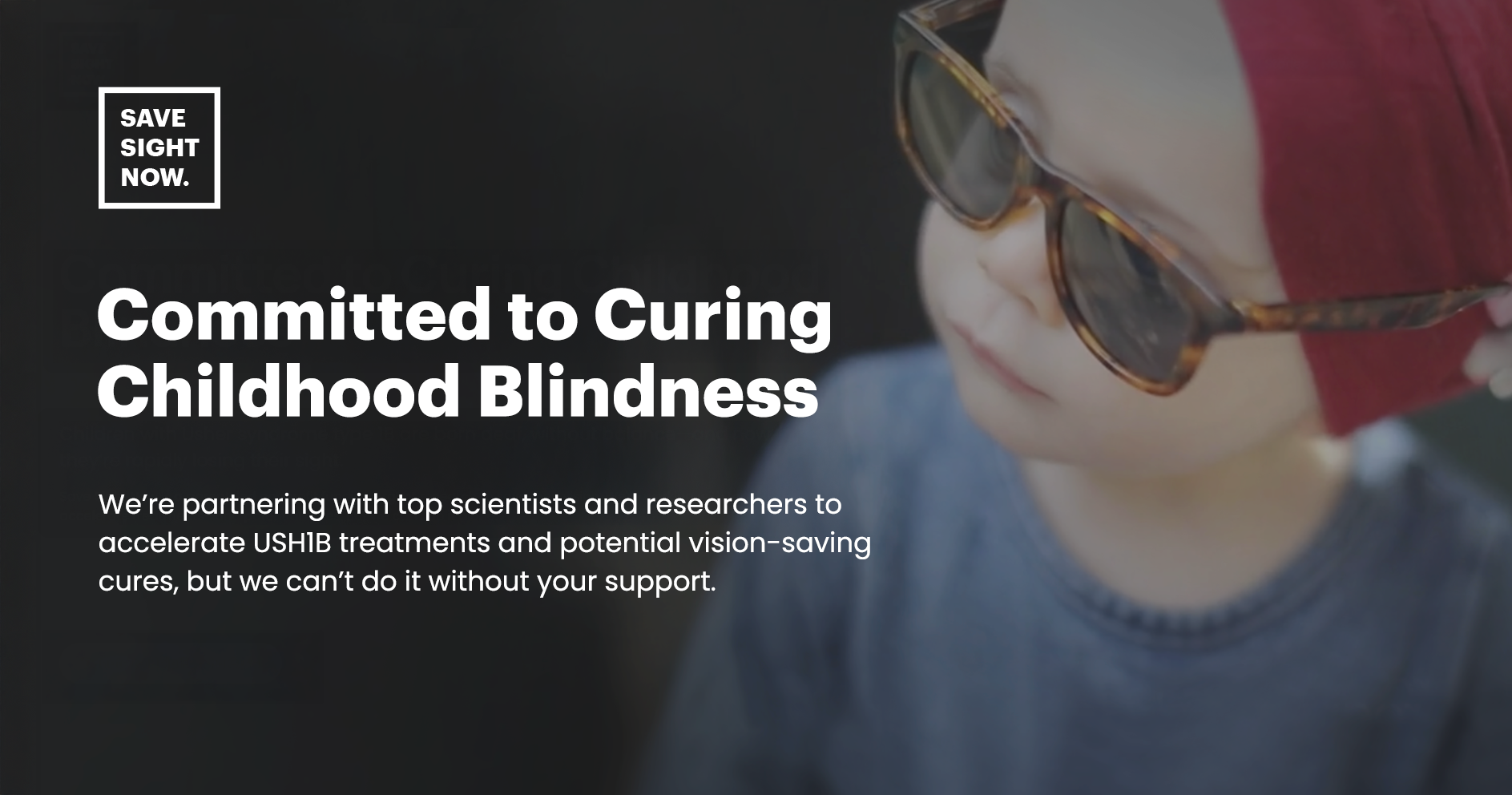 Donate to Save Sight Now