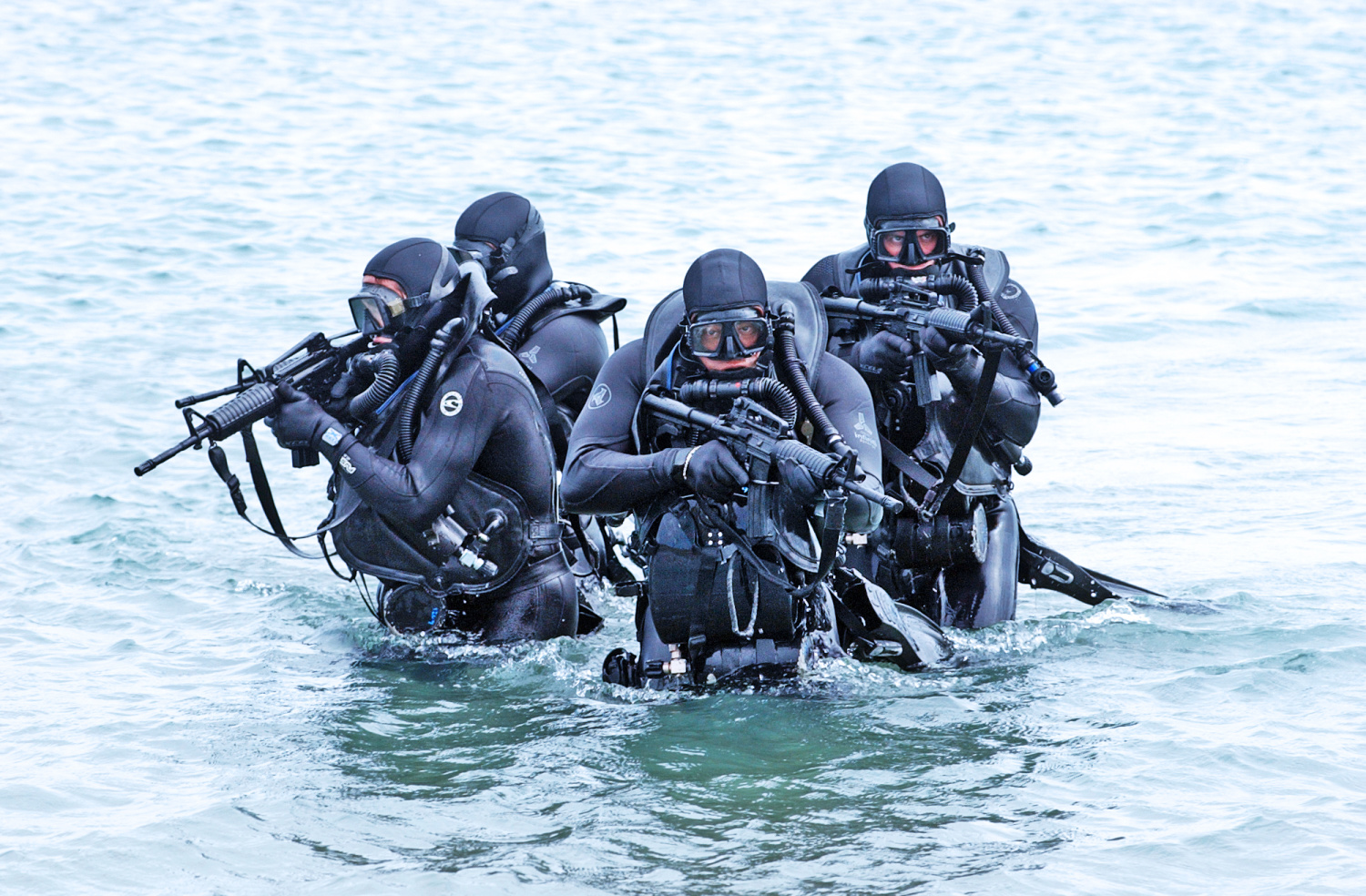 Donate To 13th Annual Tampa Bay Frogman Swim