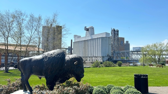 Let's Go Buffalo Ball - Campaign