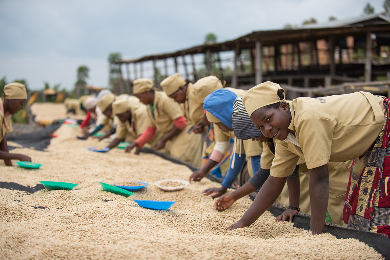 Donate to Root Capital 25th Anniversary Campaign