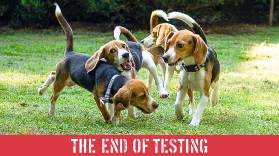 Animal Testing Shut Down! - Campaign