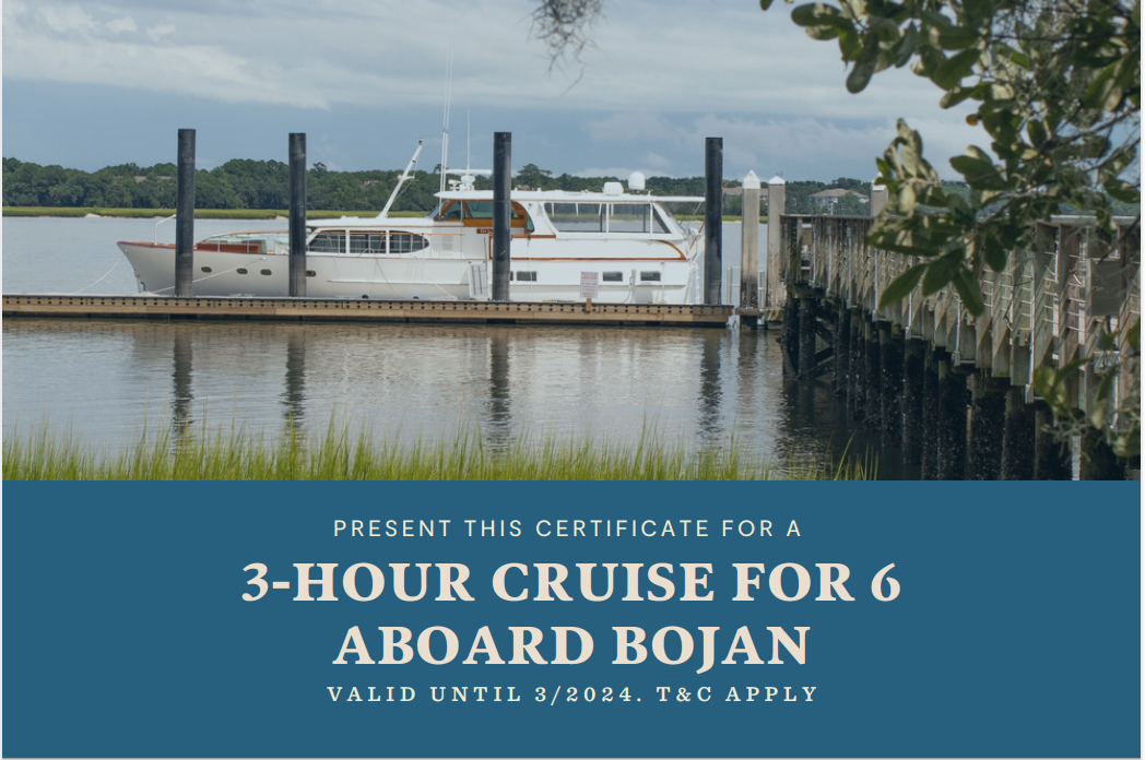 I'm On A Boat! - Campaign