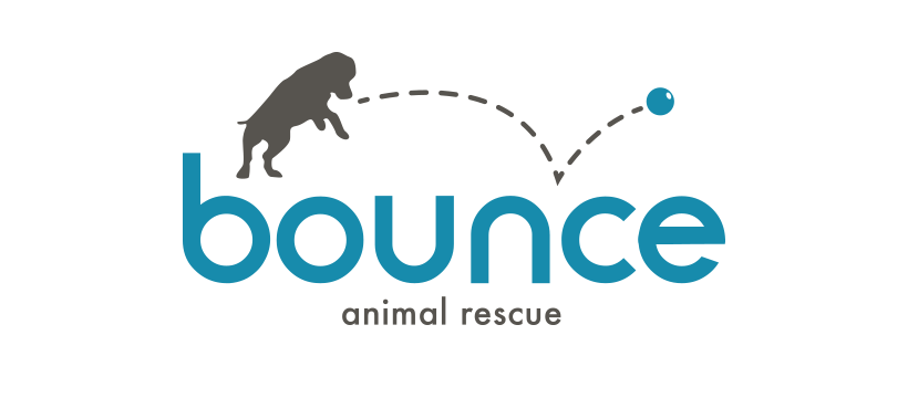 Lynn Armbruster - Campaign