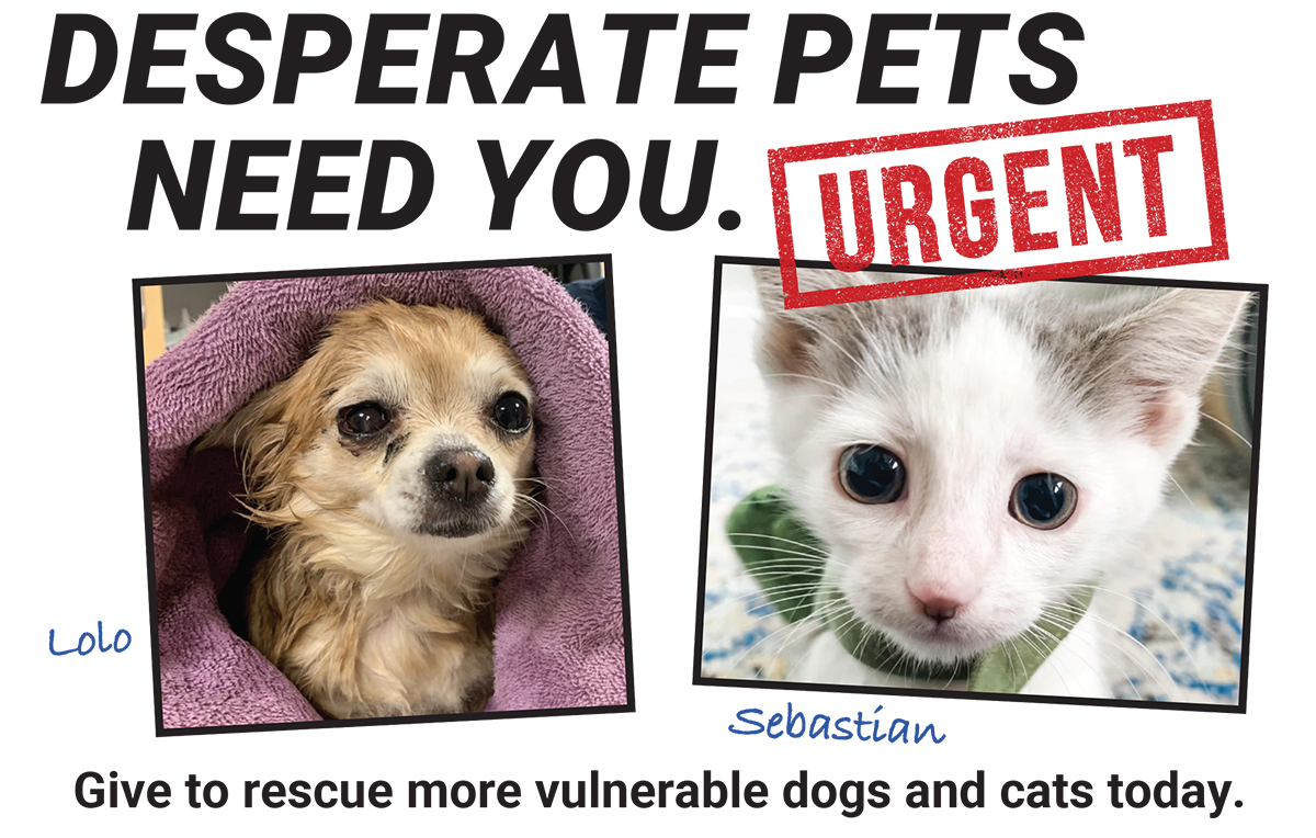 Donate to MDSPCA Donation Form HJ - May 2022