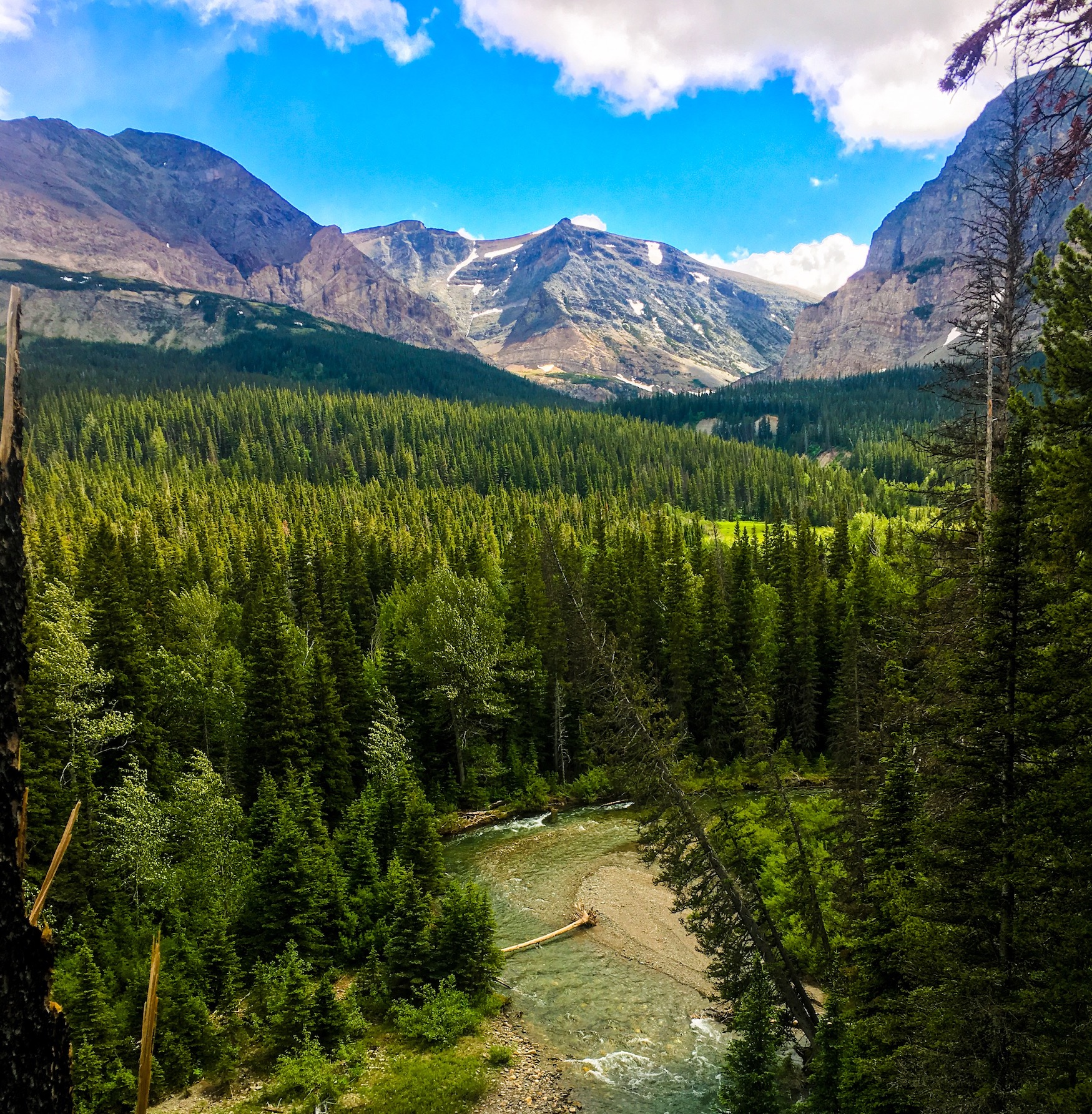 Donate to Keep it Wild - Renew