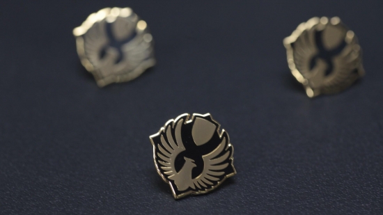 SAE Phoenix Circle - Campaign