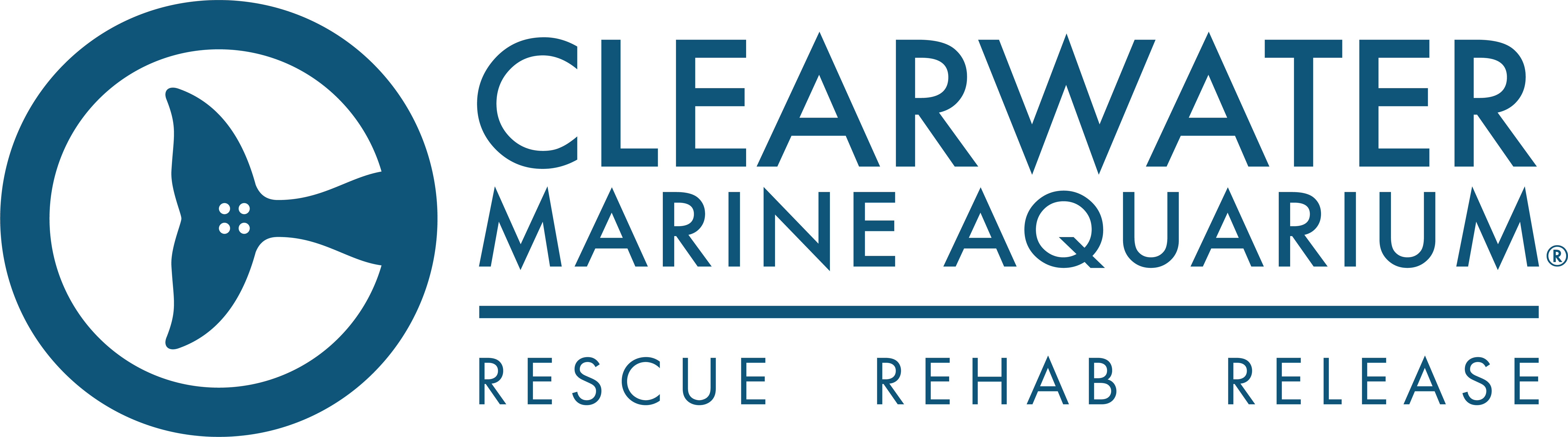 Animal Care Video Call animal-care-video-call