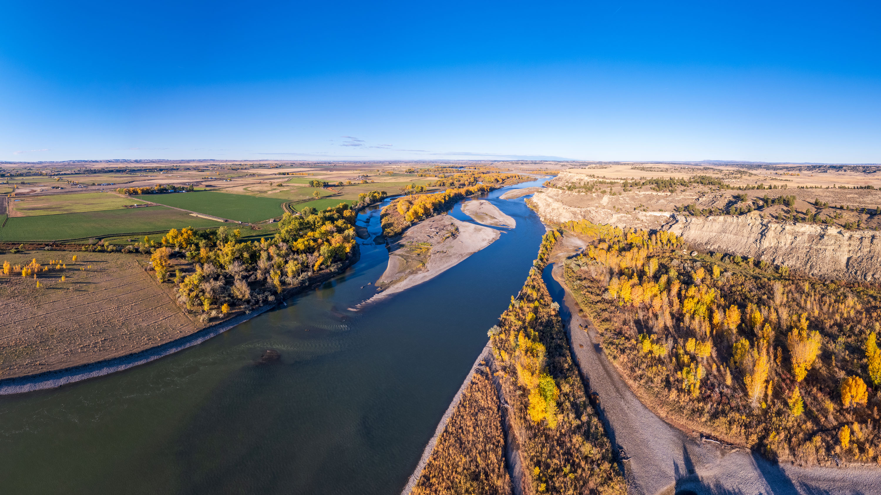 Donate to Save SB 442