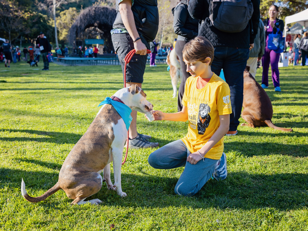 Wiggle Waggle Walk & Run 2024 - Campaign