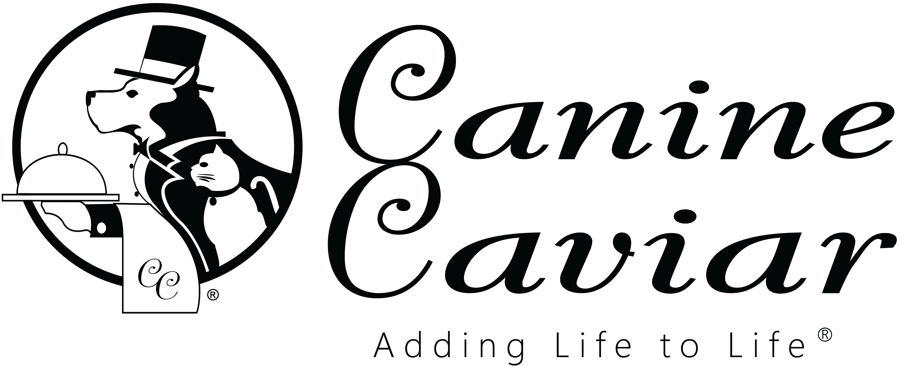 Wiggle Waggle Walk & Run 2025 - Campaign