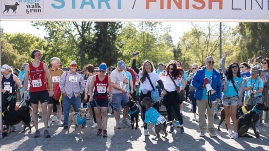Wiggle Waggle Walk & Run 2026 - Campaign