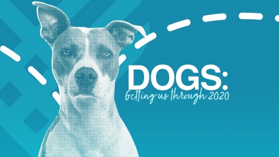 Bounce Giving Tuesday 2020 - Campaign