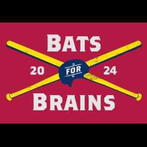 Bats for Brains 2024's fundraising page for American Brain Tumor ...