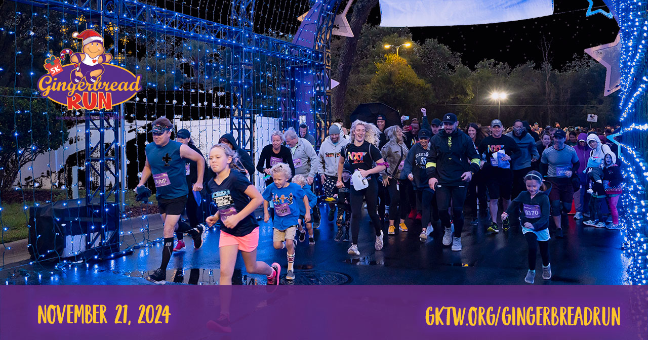 Gingerbread Run: Under the Lights - Campaign