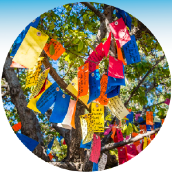 Lynn Dolin's fundraising page for City of Hope