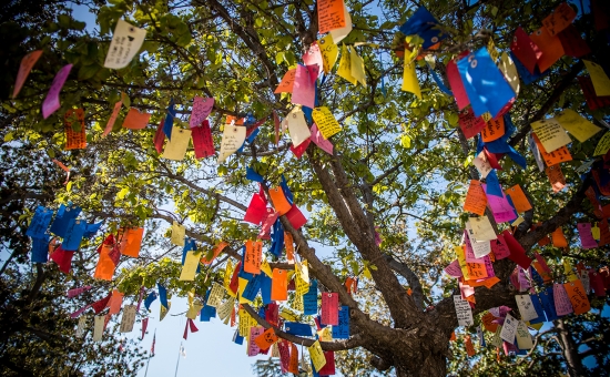 In Loving Memory of Angela Irizarry - Campaign