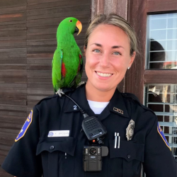 Katelyn Brogan's fundraising page for Hallie Hill Animal Sanctuary