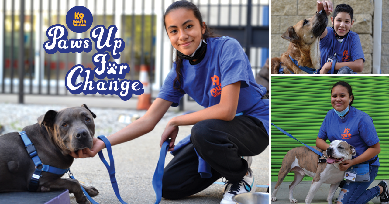 Paws Up For Change - Campaign