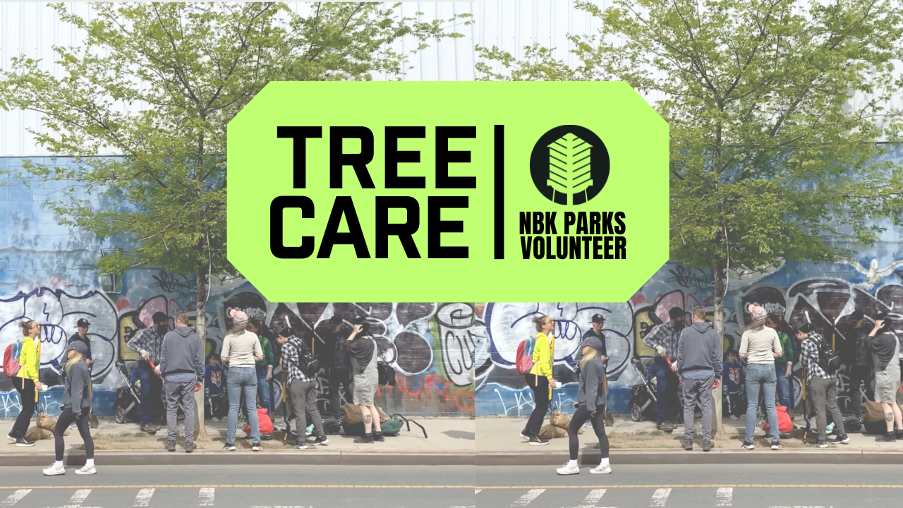 NBK Parks Tree Care - Campaign