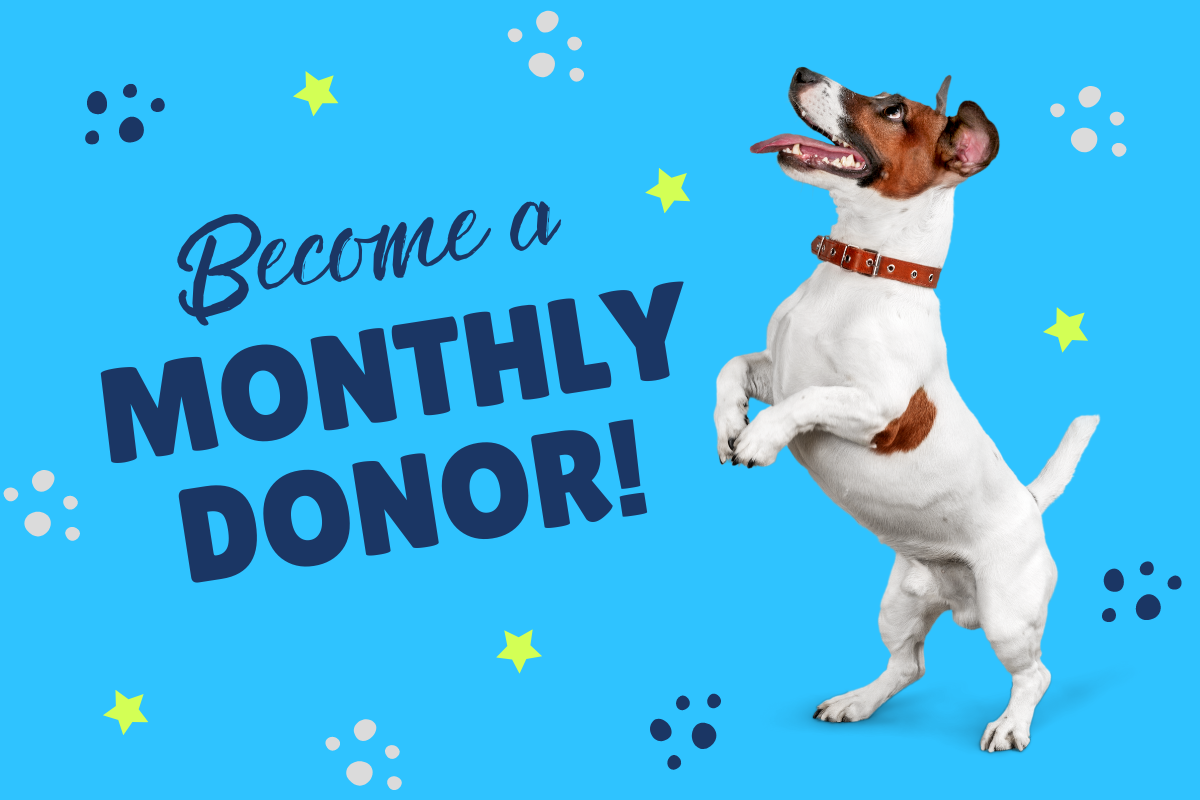 Become A Monthly Donor - Campaign Become A Monthly Donor - Campaign