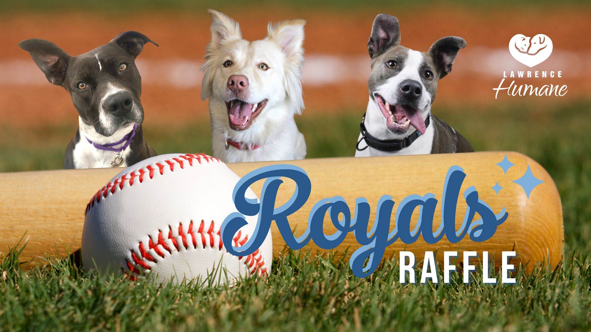 KC Royals Raffle - Campaign