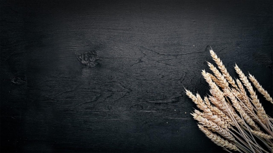 High Holidays Campaign - Campaign