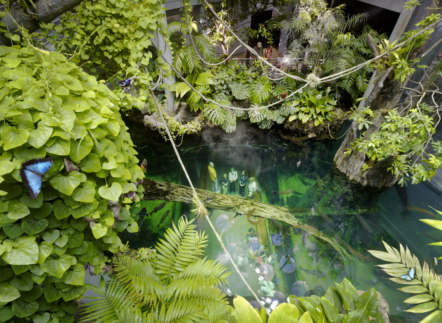 Planetwalker Screening - Campaign