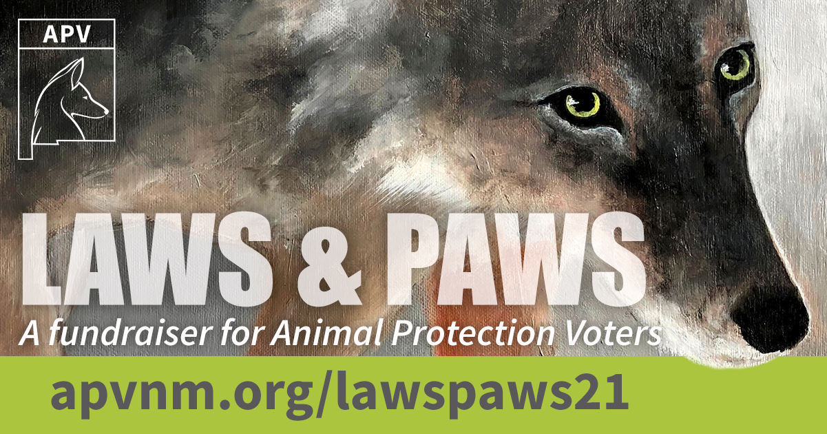 Laws & Paws 2021 - Campaign