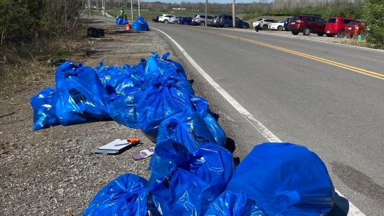 June Volunteer Clean Up - Campaign