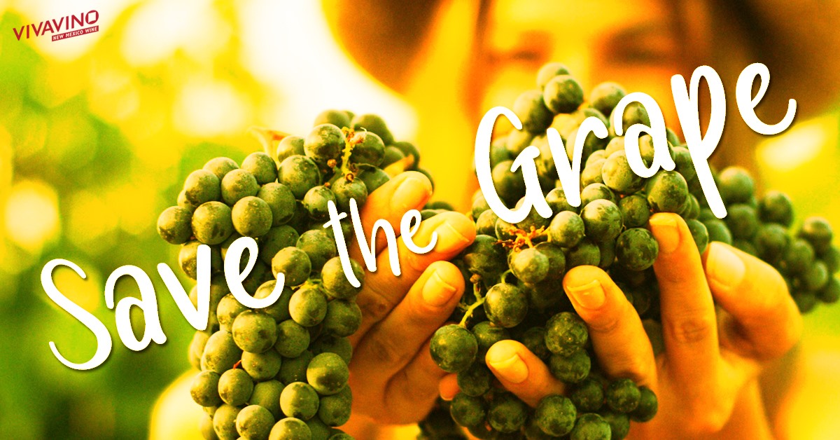 GRAPE AID - HELP SAVE THE GRAPE - Campaign