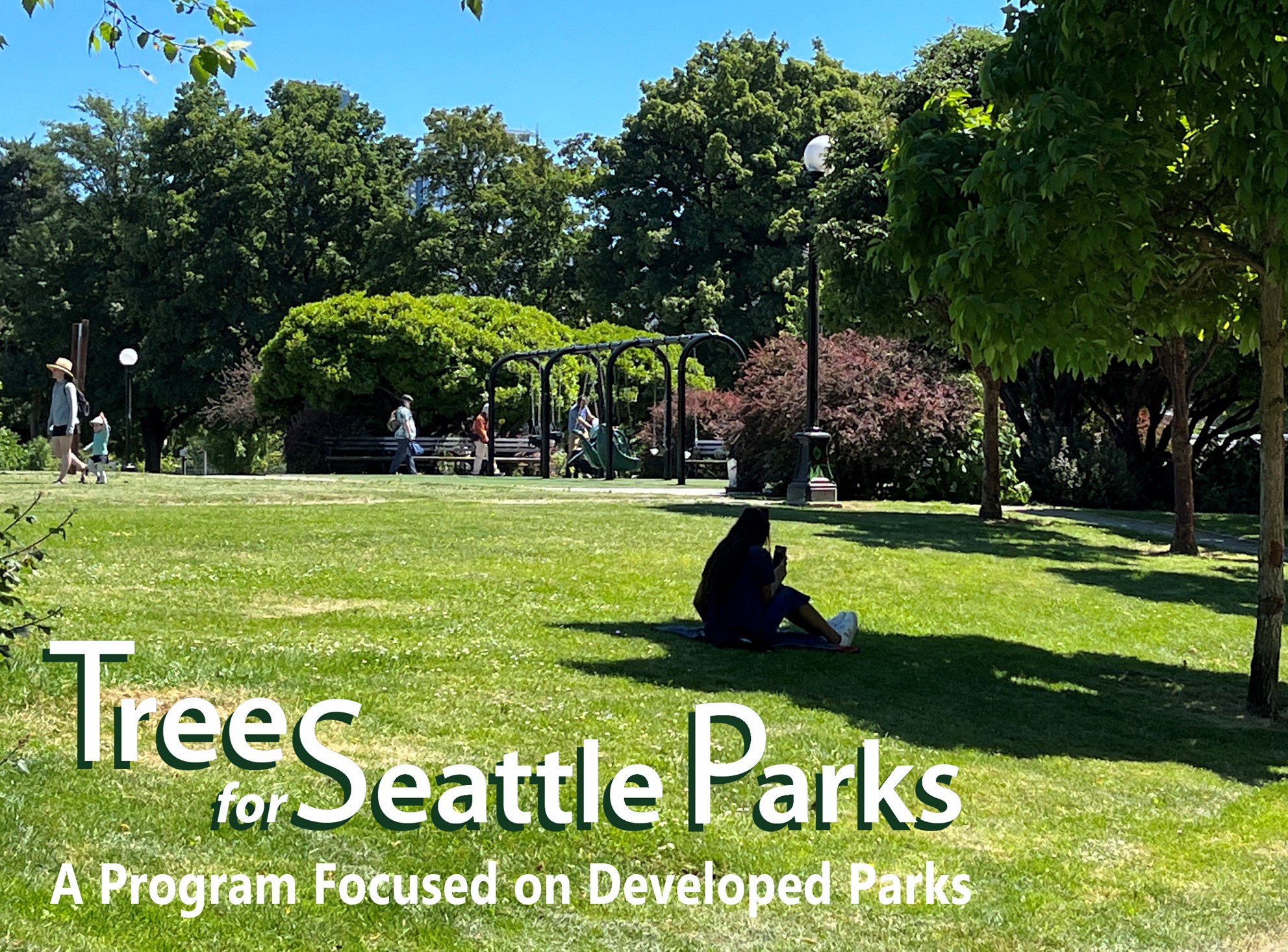 Donate to Trees for Seattle Parks