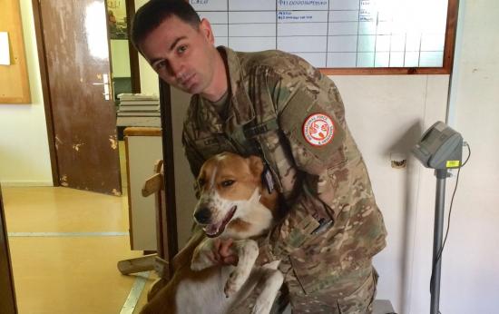 Donate to SPCA International
