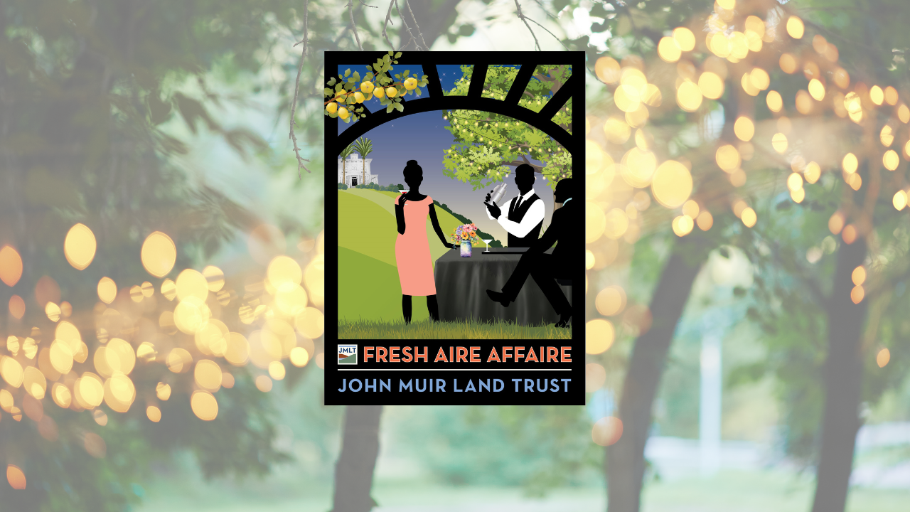 Fresh Aire Affaire - Campaign