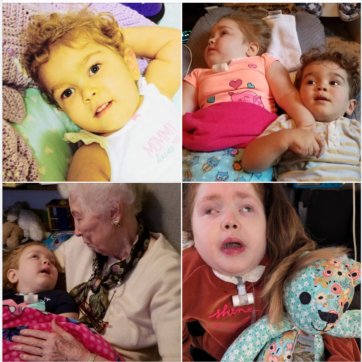 In Memory of Lina Emerson - Campaign