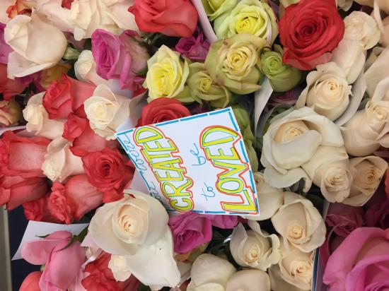 Donate to Red Rose Campaign