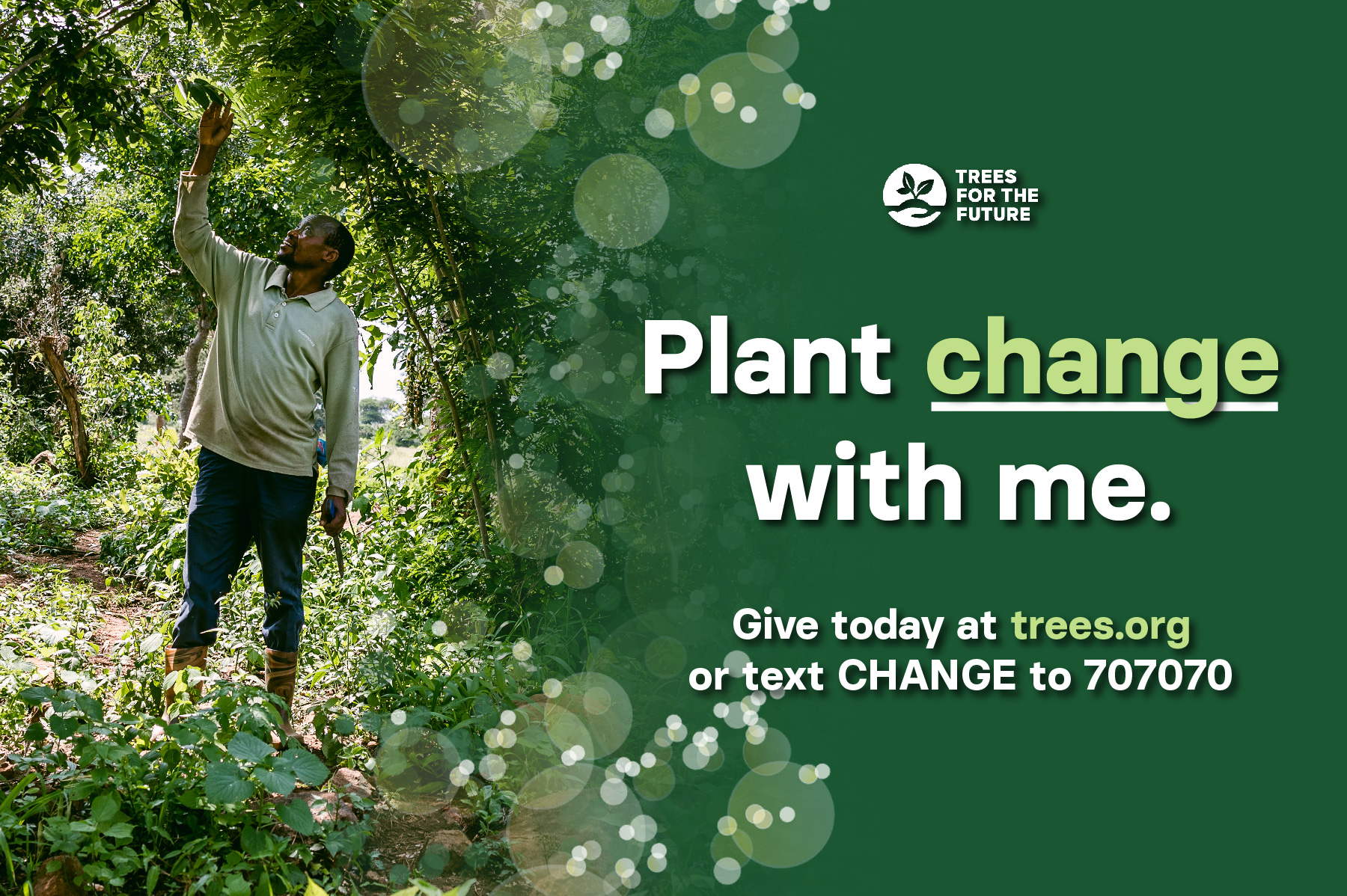 Trees for the Future's End of Year Campaign - Campaign