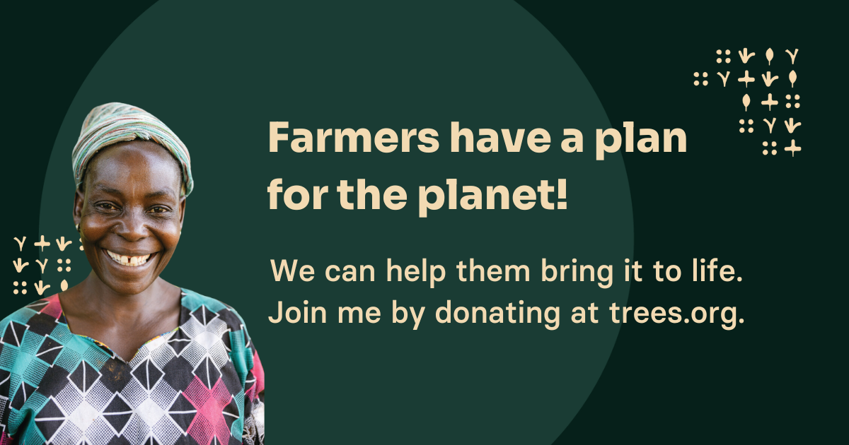 Trillion Trees Campaign - Campaign