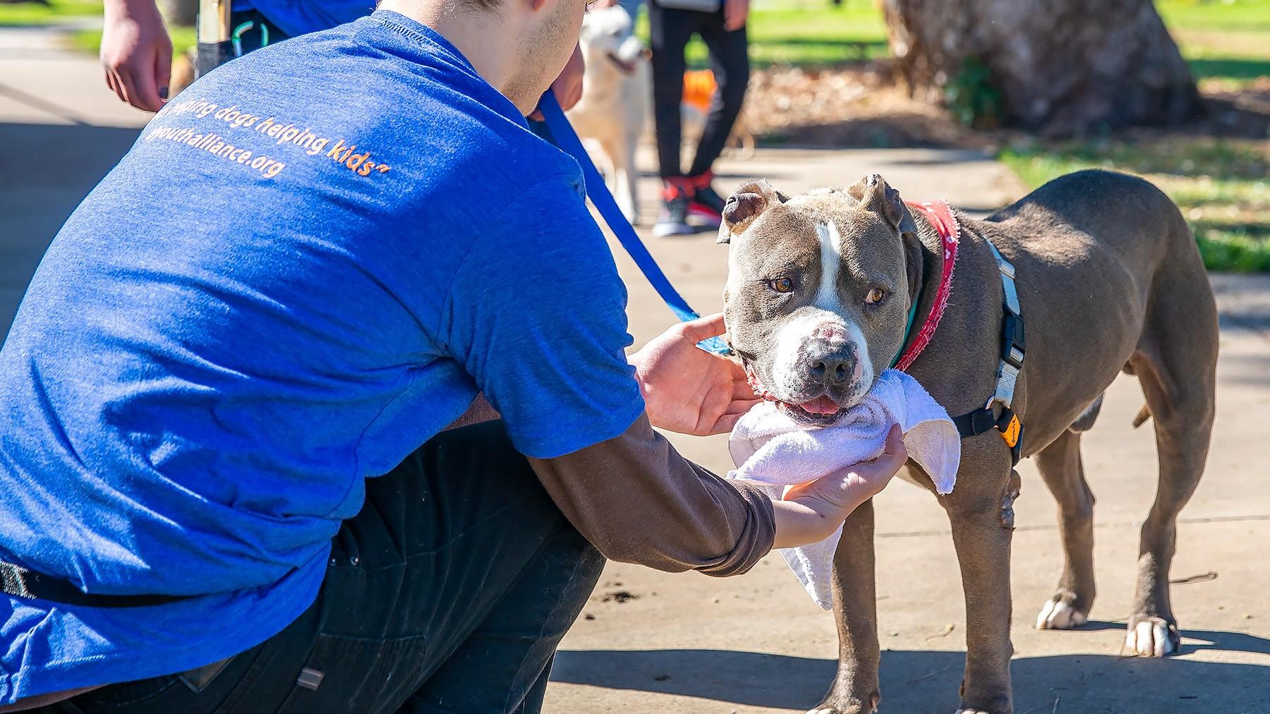 Donate to kids helping dogs helping kids