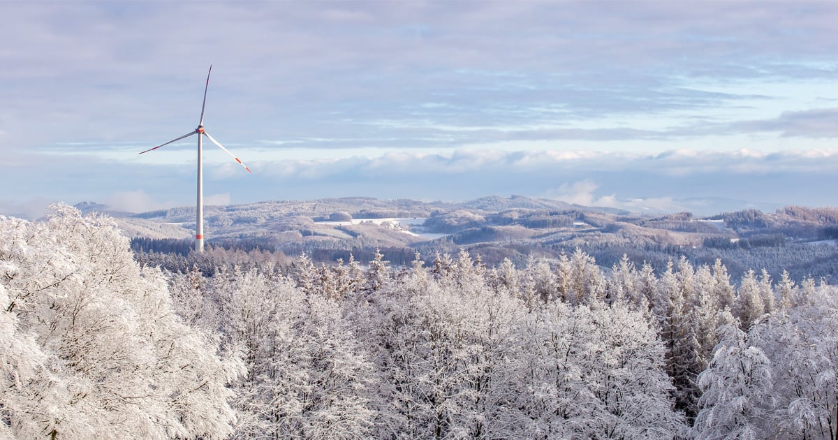 Donate to renew your Environmental Defense Fund membership