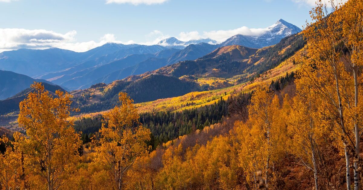 Donate to Environmental Defense Fund | A leading environmental advocacy ...