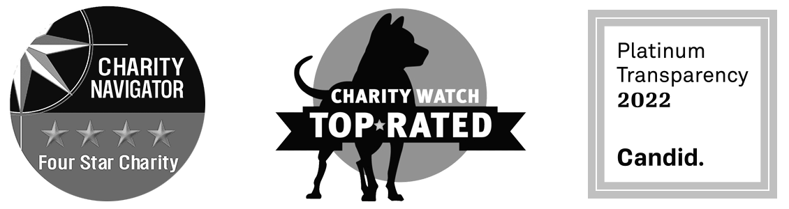 Donate to Operation Ride Home 2022