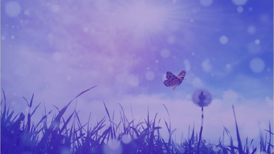 Debra Masterson's fundraising page for Glioblastoma Foundation