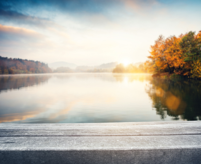 Donate to Just a few hours left to hit the $30,000 GivingTuesday goal!