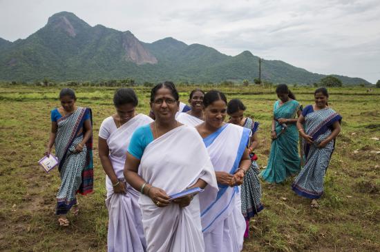 Fall Giving Campaign - Campaign