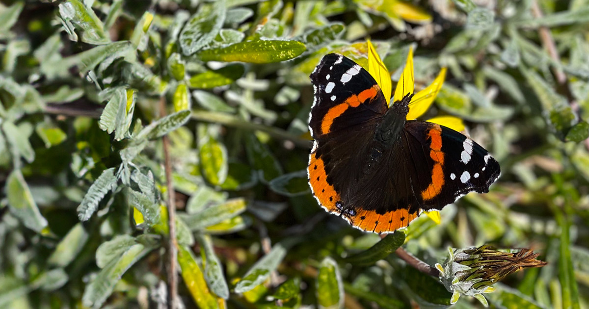 Donate to Environmental Defense Fund | A leading environmental advocacy ...