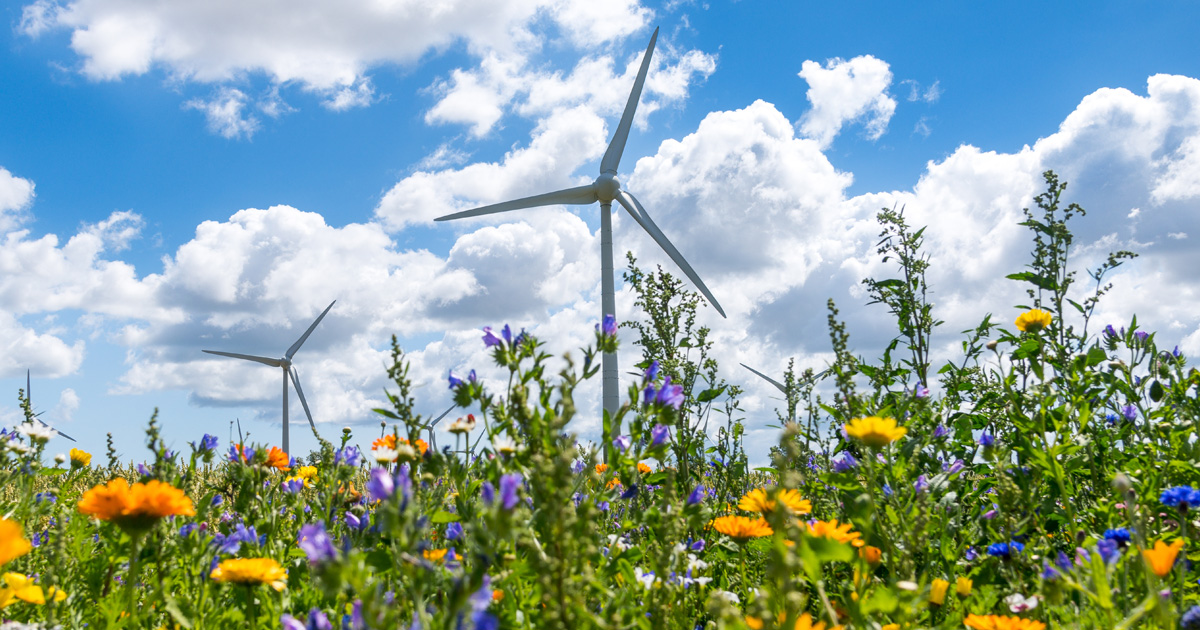 Donate to Environmental Defense Fund's Annual Fund