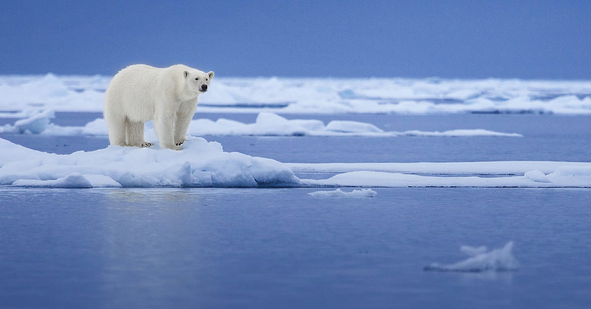 Donate to Environmental Defense Fund to fight climate change and ...