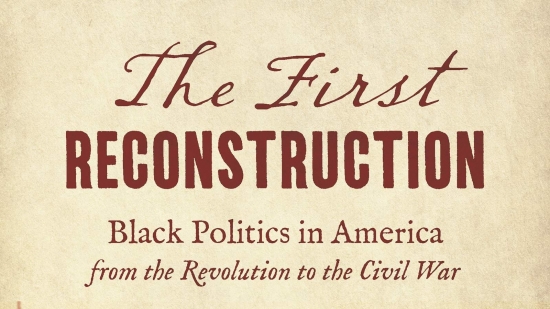 Fireside Chat : The First Reconstruction: Black Politics in America ...