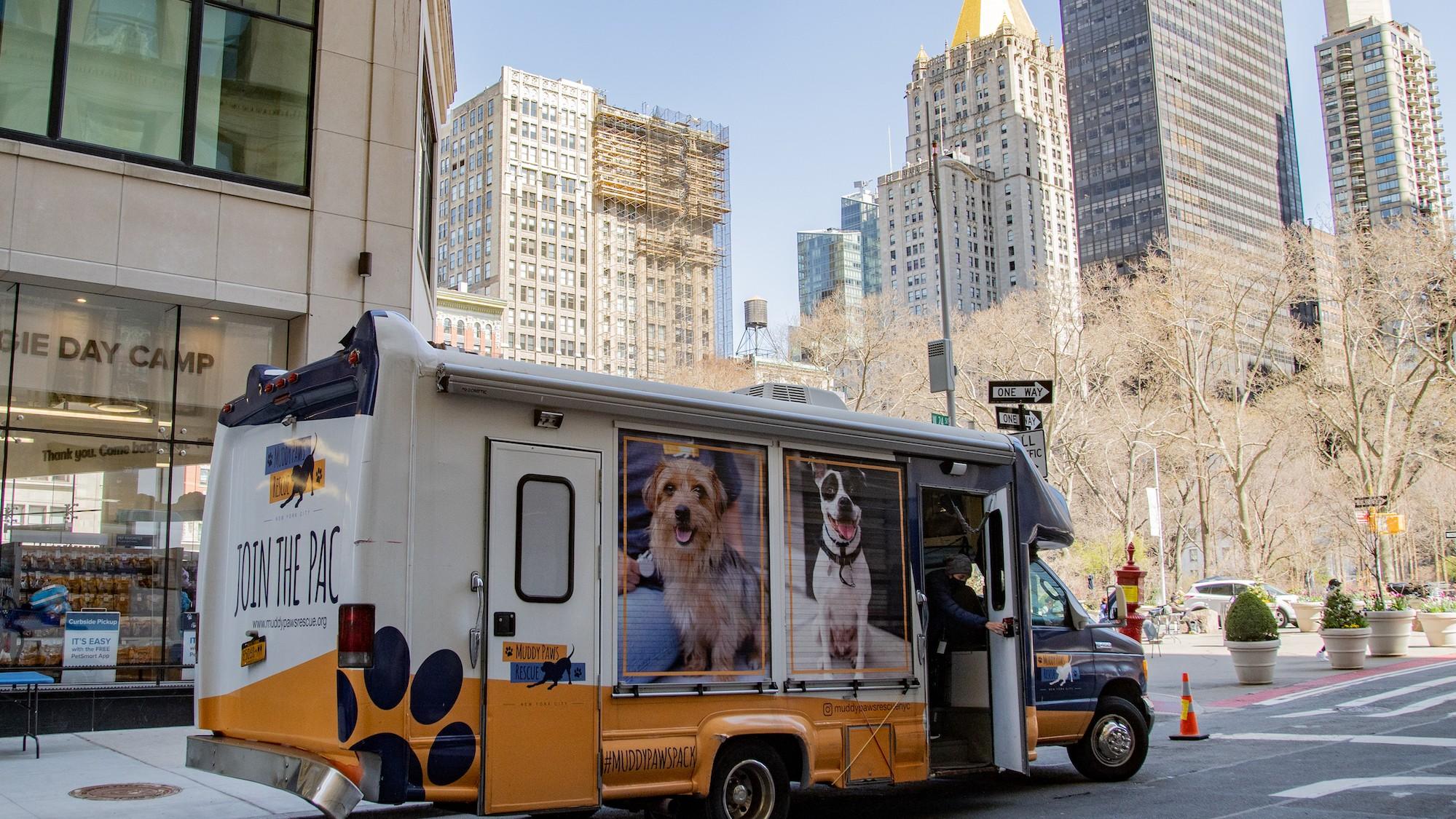 Muddy Paws Mobile Adoption Vehicle - Campaign